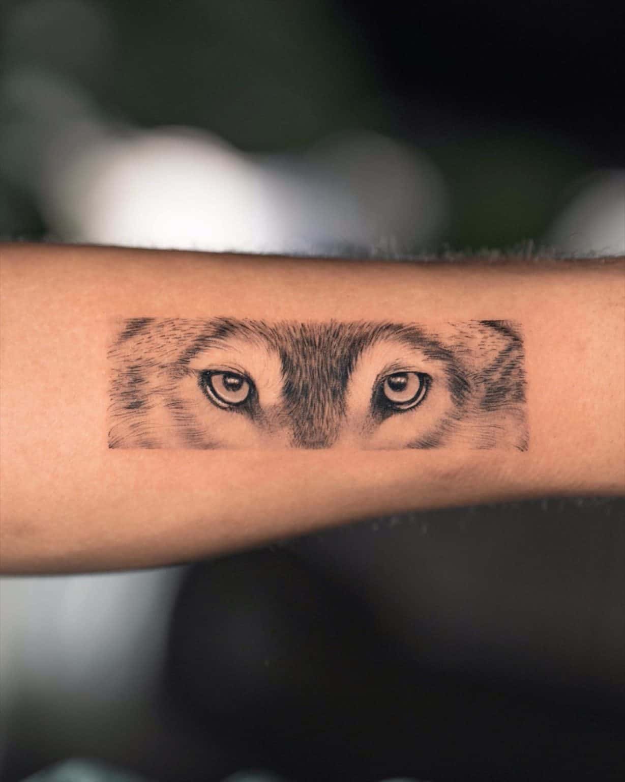 30 Awesome Wolf Tattoo Ideas for Men & Women in 2022