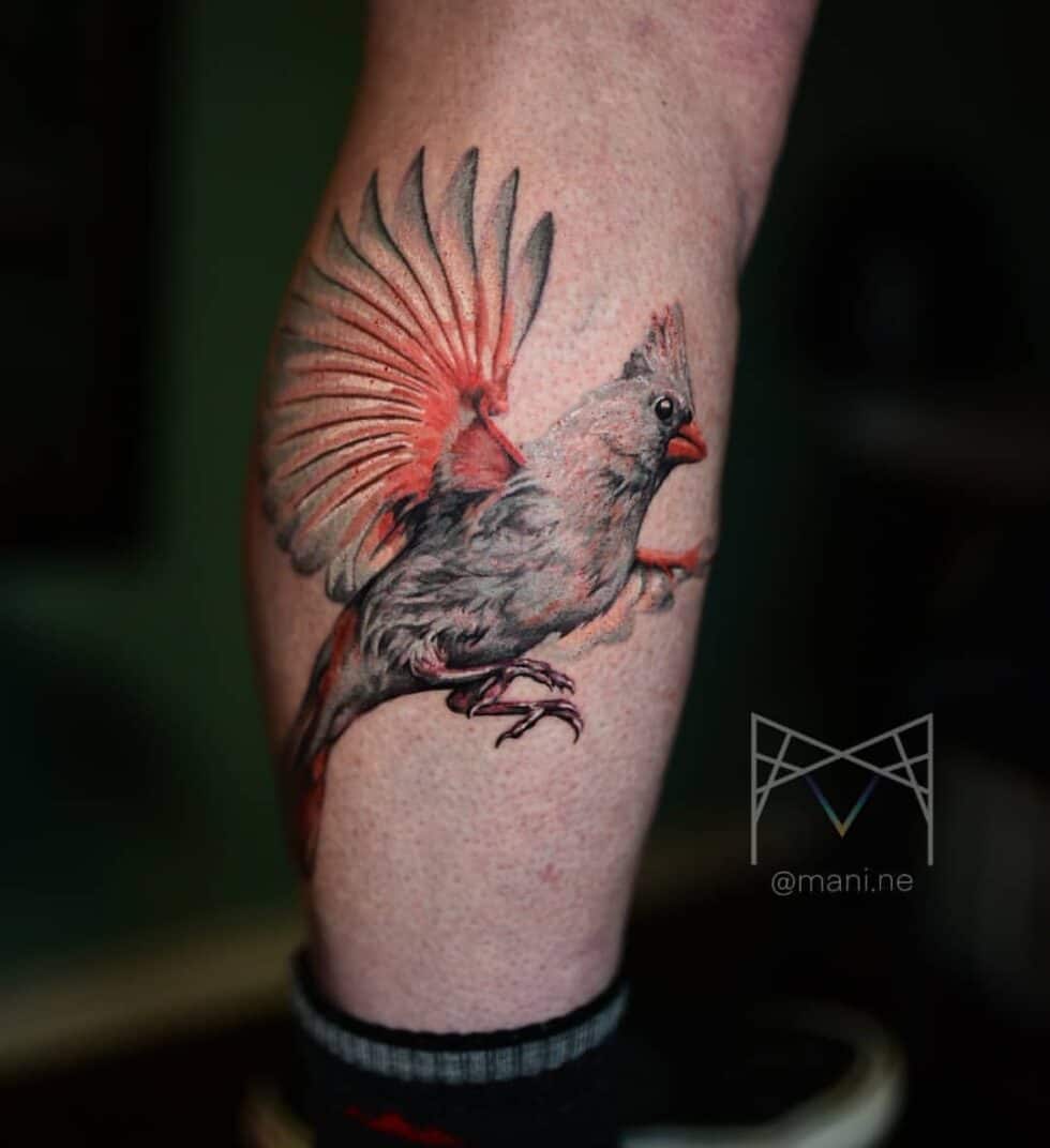 50 Cool Cardinal Tattoo Ideas for Men & Women in 2024