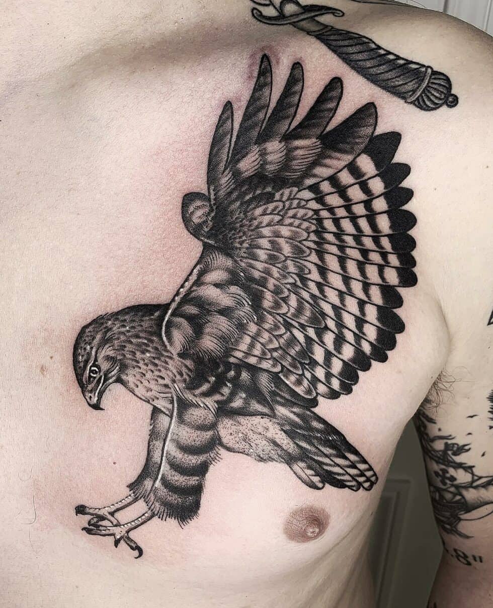 50 Amazing Hawk Tattoo Ideas for Men & Women in 2024