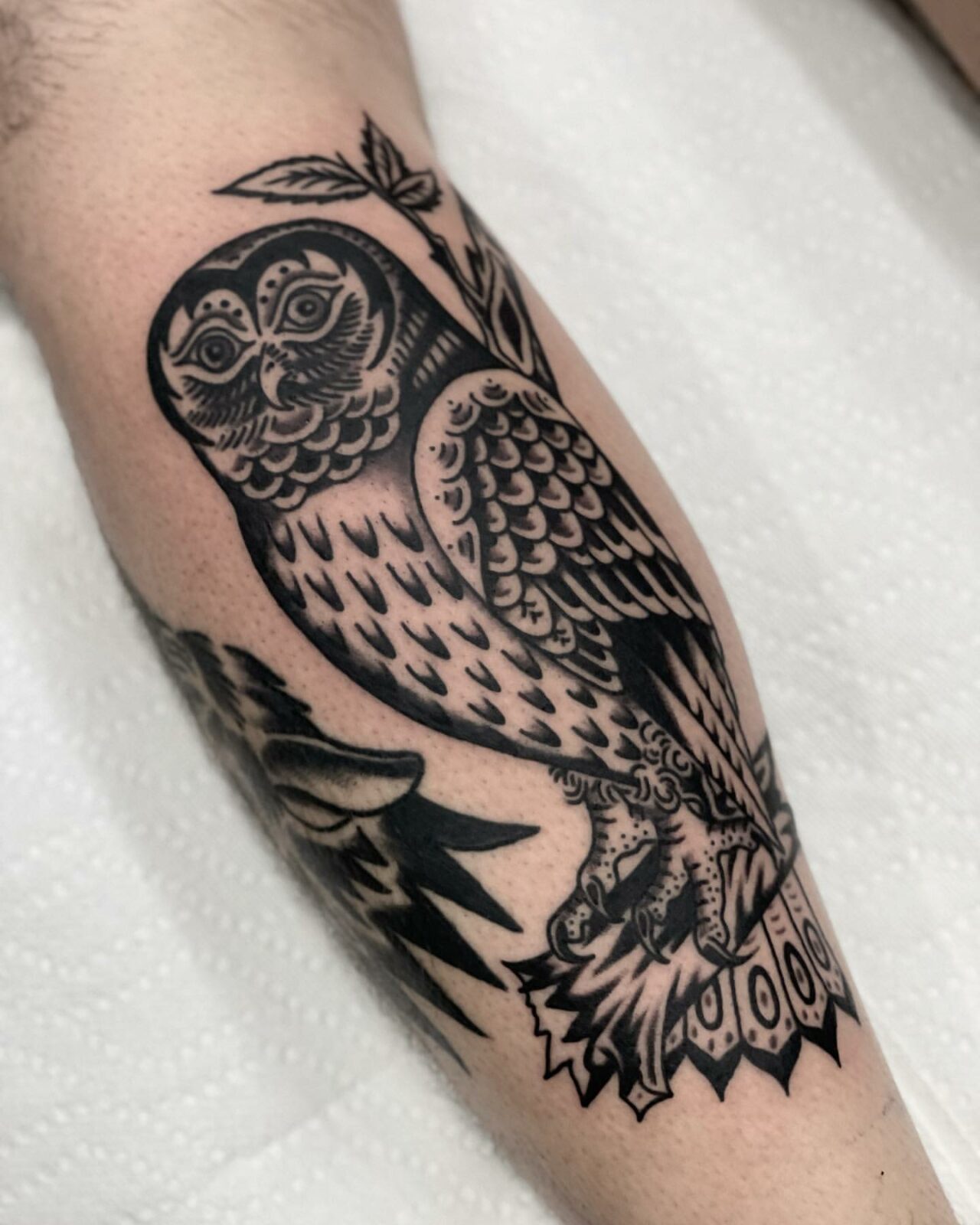 40 Amazing Owl Tattoo Ideas for Men & Women in 2024