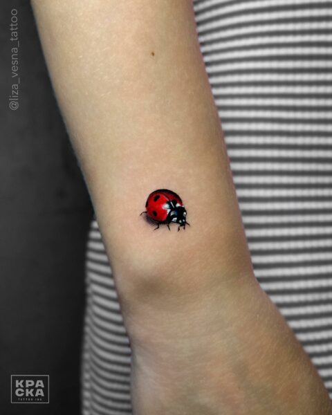 25 Lovely Ladybug Tattoo Ideas for Men & Women in 2024