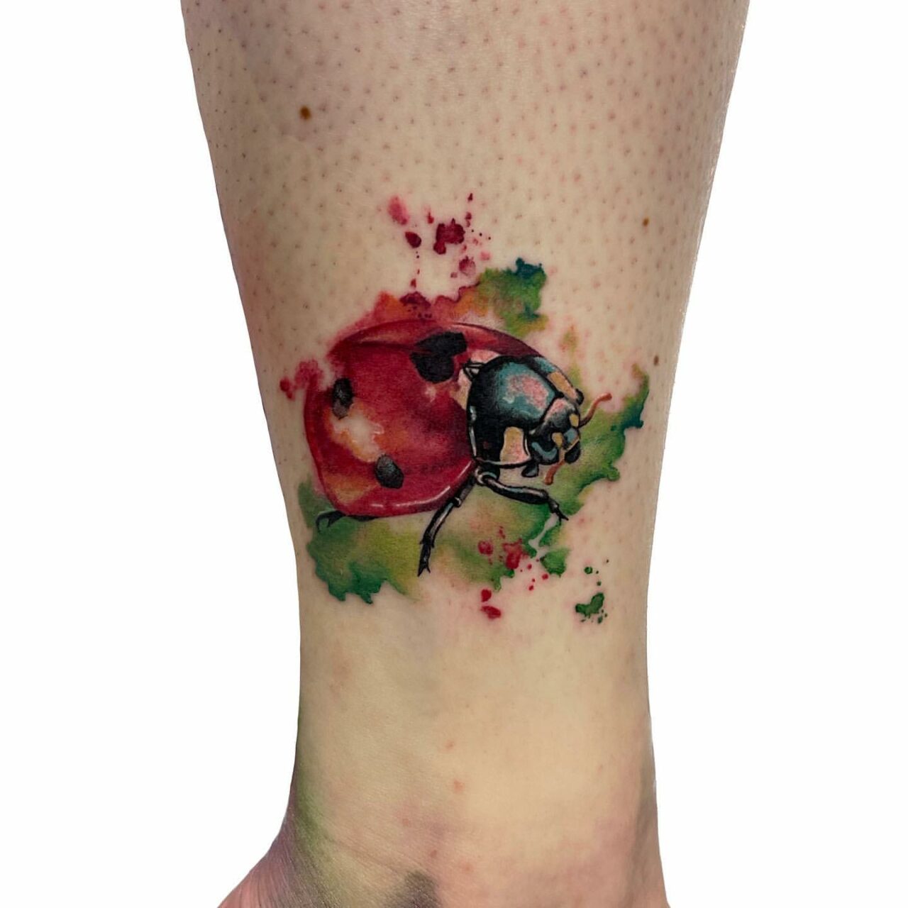 25 Lovely Ladybug Tattoo Ideas for Men & Women in 2024